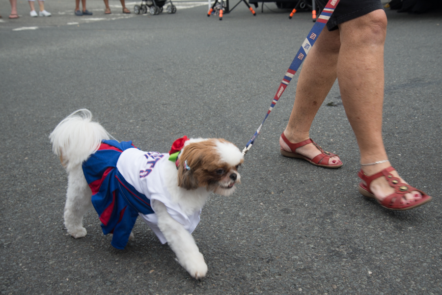 Fanny Wood Day offered fun for all ages - Borough of Fanwood